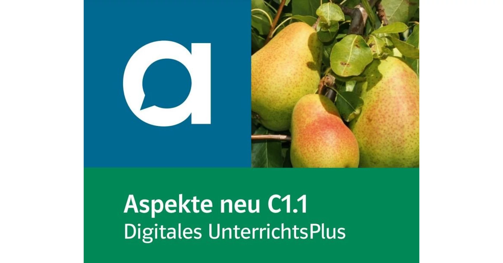 Aspekte neu C1.1 - Digitales Unterrichtshandbuch mit Extras